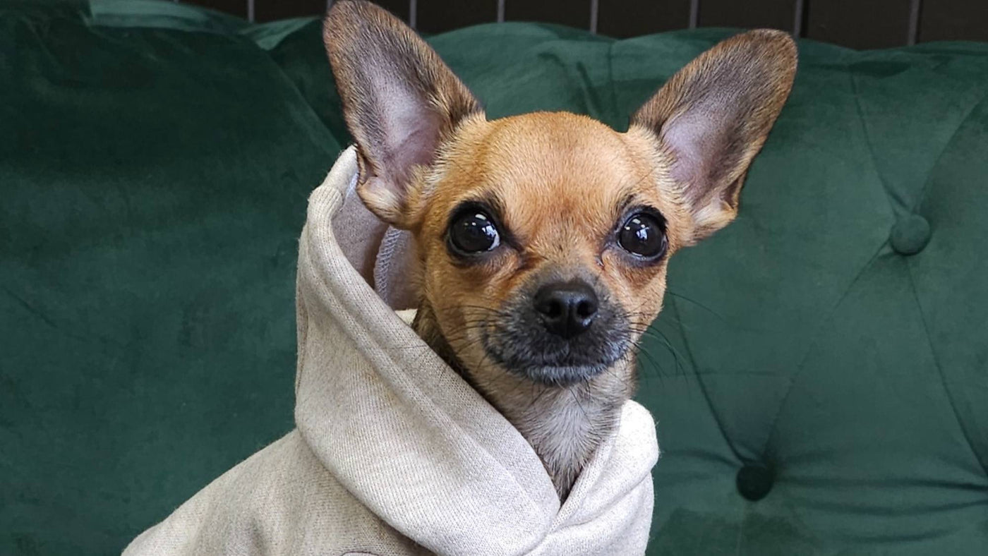 PDF Pet Sewing Patterns | Dog & Pet Clothing | Les Tissées